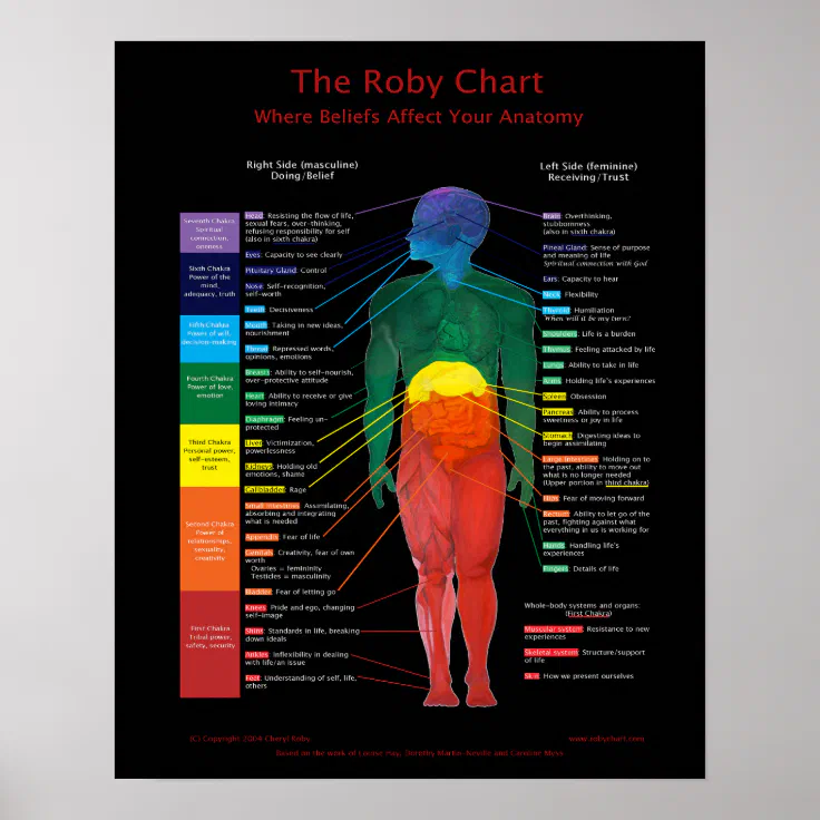 16x20" Roby Chart: Wo Überzeugungen die Anatomie b Poster | Zazzle.ch