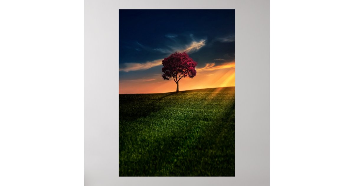 Amazing Landscape with a Red Tree at Sunset Poster | Zazzle.ch