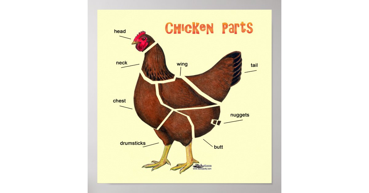 Huhn-Teile Poster | Zazzle.ch