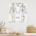 Human Meridians & Prespoint Chart Poster | Zazzle.ch