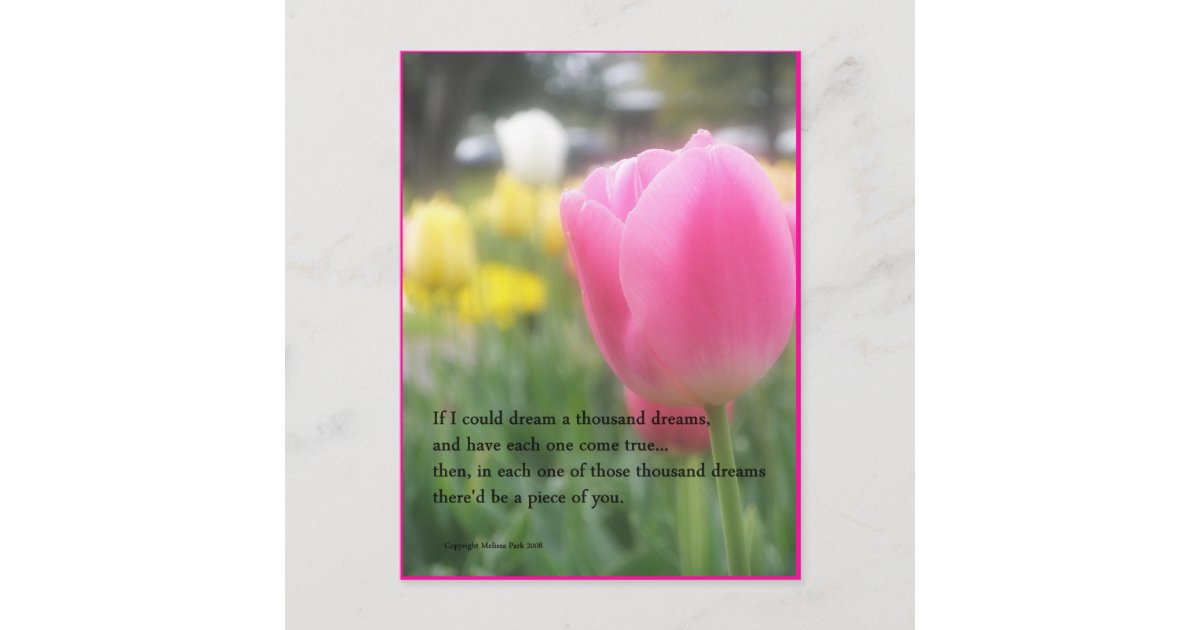Pink Tulip Gedicht Postkarte Tausende von Träumen | Zazzle.ch